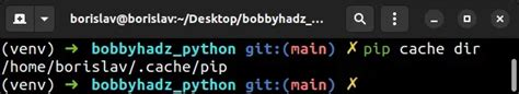 The Purpose Of Pip S No Cache Dir Option Bobbyhadz