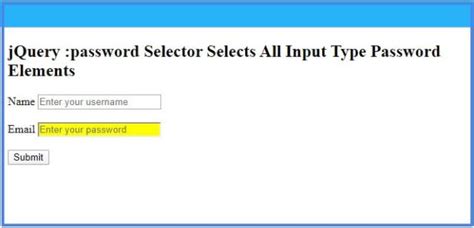 Jquery Password Selector Select Input Type Password