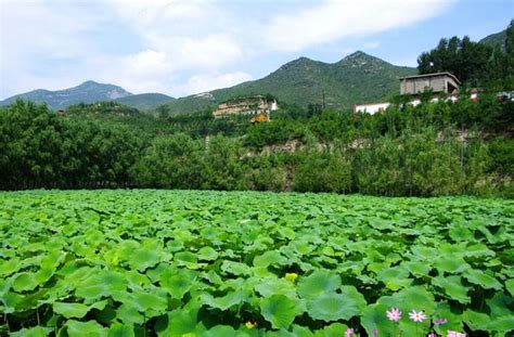 風景圖集靈丘縣美圖 每日頭條