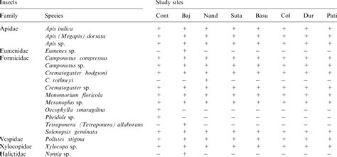 binary presence absence data of hymenoptera download scientific diagram