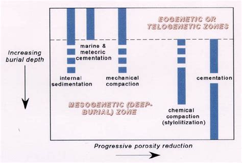 Processes By Which Porosity Is Reduced In Carbonate Rocks