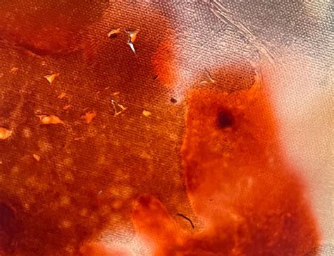 Yale Cea Research Areas Soil Sisters