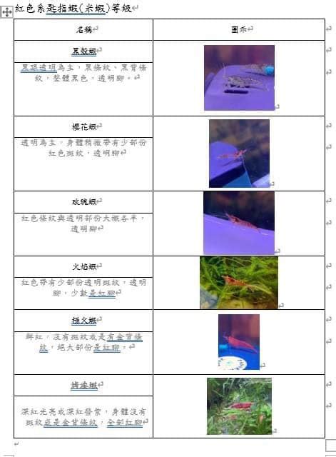 米蝦匙指蝦黑殼蝦櫻花蝦玫瑰蝦火燄蝦極火蝦烤漆蝦 水族板 Dcard