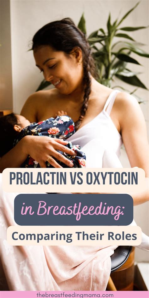 Prolactin Vs Oxytocin In Breastfeeding Comparing Their Roles — The
