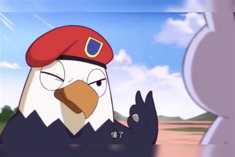 那年那兔那些事儿：多年以后兔子和鹰酱都活成了自己最讨厌的样子 兔子 事儿 样子