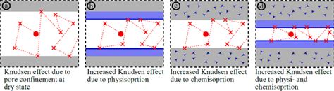 Schematic Sketch Of Molecular And Knudsen Diffusion Including Download Scientific Diagram