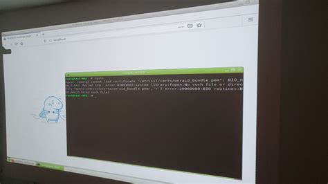 Unraid Pro Invalid Expansion Dagasw