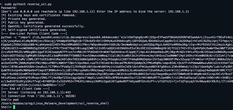 Mohit Dabas On Linkedin Linux Malware Development Building A One Liner Tlsssl Based Reverse
