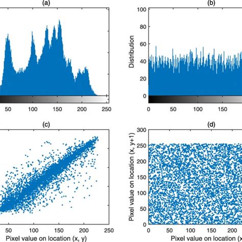 The Histogram And Pixel Distribution Of Images A The Histogram Of