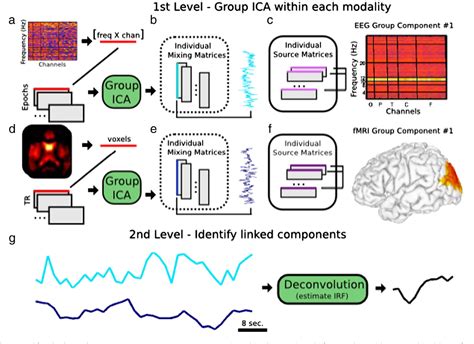 Figure 1 From The Spatiospectral Characterization Of Brain Networks Fusing Concurrent Eeg