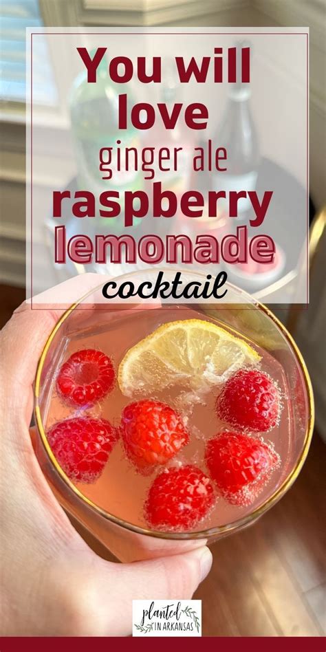 Raspberry Lemonade And Ginger Ale Cocktail With Prosecco Artofit