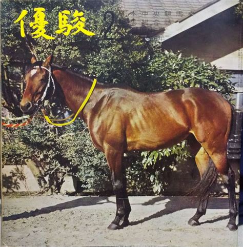 この優駿あにまん掲示板