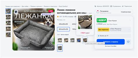 Как продвинуть карточку товаров в ТОП на маркетплейсе