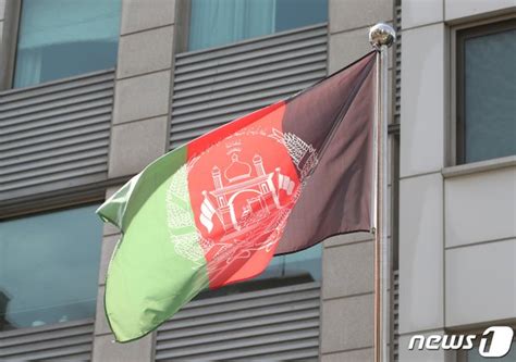 탈레반 아프가니스탄 장악 네이트 뉴스