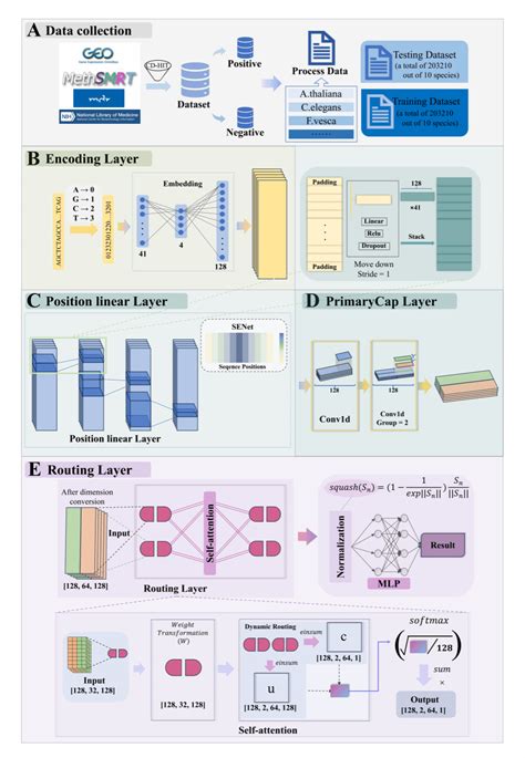 喜报我院 级本科生周喆誉同学在TOP期刊Computers in Biology and Medicine发表论文 计算机科学与技术学院