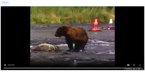 在视频上绘制区域：使用vue和javascript实现交互式画布 Ew帮帮网