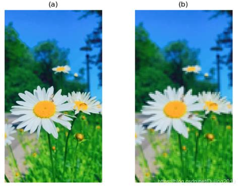 Python计算机视觉编程第一章——基本的图像操作和处理图像处理 Adc Dumps Csdn博客