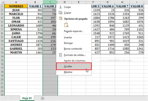 Como Mostrar Columnas Y Filas En Excel Mostrar Ninja Del Excel