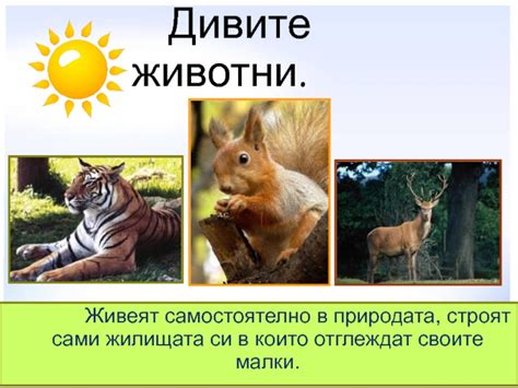 Домашни животни