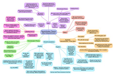 Structural Functionalism Theory Racial Stratification In Healthcare