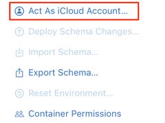 CloudKit Console Act As ICloud Account