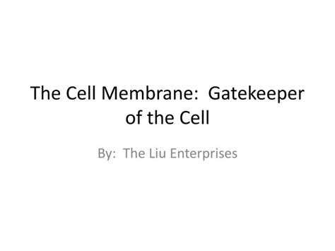 Ppt The Cell Membrane Gatekeeper Of The Cell Powerpoint Presentation