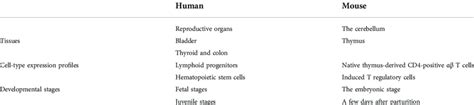 Comparison Of Human And Mouse Syf2 Gene Expression Patterns In Tissues