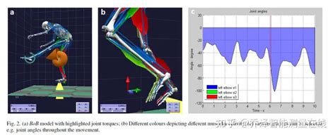 在需要人体运动生物力学数据分析时的软件选择 生物器材网