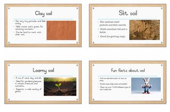 Grade Life Skills Soils Different Types Of Soil Powerpoint TPT