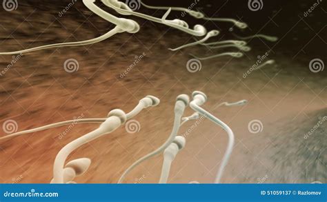 Sperm Stock Footage Videos 402 Stock Videos Page 2