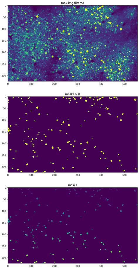 Segmentation And Denoising — Neuromatch Academy Deep Learning Instructors Version