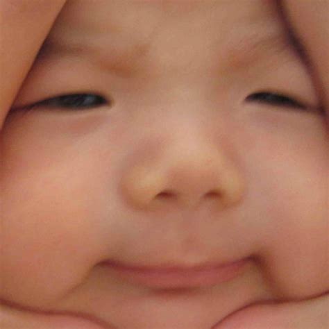 Xiaoping Liu Postdoc Position Phd Shanghai Institutes For Biological Sciences Shanghai