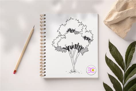 Set Of Hand Drawn Sketch Architect Trees Landscape Architectural Drawings Tree Clip Art Png