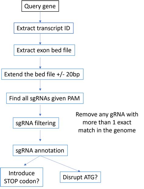 Base Editor Screening For Gene Functions — Hemtools Latest Documentation