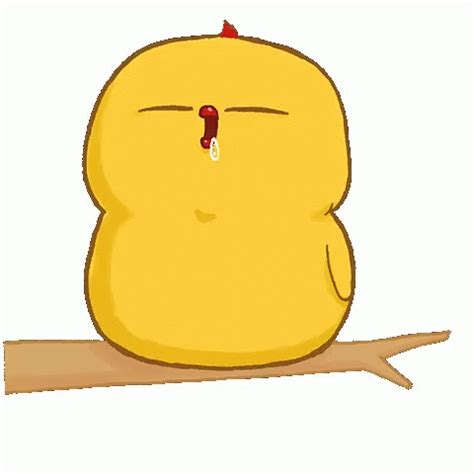 Chick Pio Sticker Chick Pio Fat Chick Discover Share GIFs