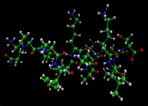 Molecular Structure Of Hydrophilic Amphiphatic Helical Peptide In Cpk Download Scientific