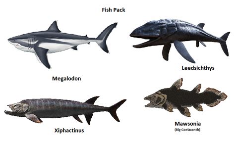 Xiphactinus Vs Megalodon Hot Take Im Glad That We Got Dunkleosteus
