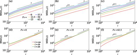 Figure 2 From Activity Induced Enhanced Diffusion Of A Polymer In Poor Solvent Semantic Scholar