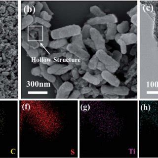 SEM A And B TEM C STEM Bright Field Images D And Its Elemental Download Scientific