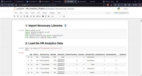 [video] Internship At Meriskill Data Cleaning And Hr Strategies Anju