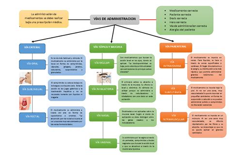 Vias De Administración De Medicamentos Mapa Conceptual VÍas De