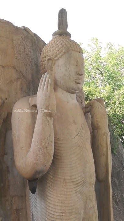අවුකන පිළිම වහන්සේගේ පාද දෝවනය 🙏🏻 Avukanabuddhastatue Srilanka Shorts Youtube