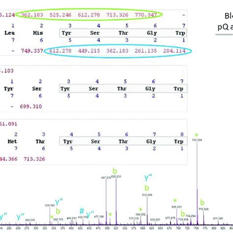 Fragmentation Msms Spectrum Of The Singly Charged Ion Of An Unknown