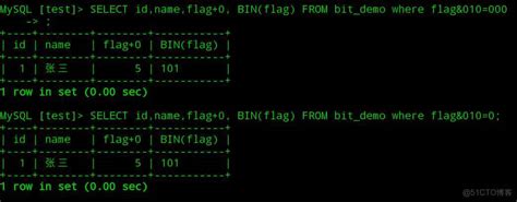 Bit类型对应java类型 Mysql Bit字段的类型jowvid的技术博客51cto博客