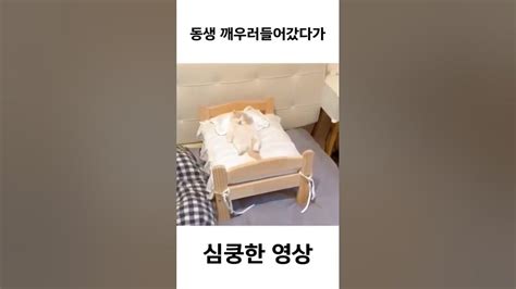 동생 깨우러갔다가 심쿵한 영상 ㅋㅋㅋㅋ Youtube