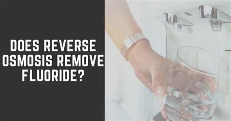 Does Reverse Osmosis Remove Fluoride RO System Guides