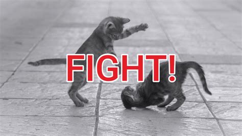 How To Write Man Vs Technology In A Screenplay Bridges Productions