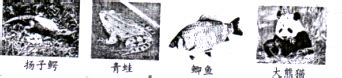根据如图所示的四中动物 下列叙述错误的是 A 鲫鱼具有高度适应水生生活的特征 身体呈梭形 用鳃呼吸B 图中的青蛙是真正的陆生脊椎动物C