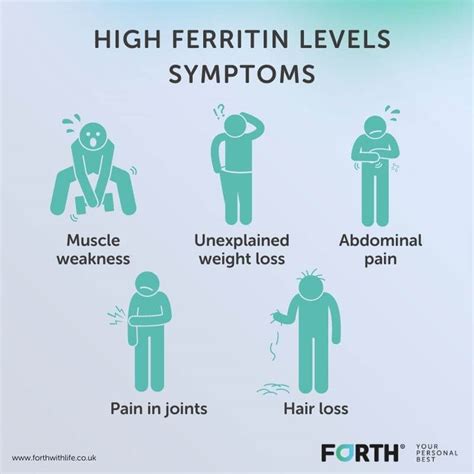 What Is Assay Ferritin At Will Hannah Blog