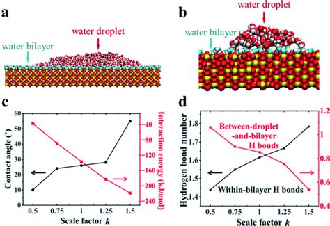 A Side View Snapshot Of The Rutile Tio2 110 Solid With A Water Download Scientific Diagram
